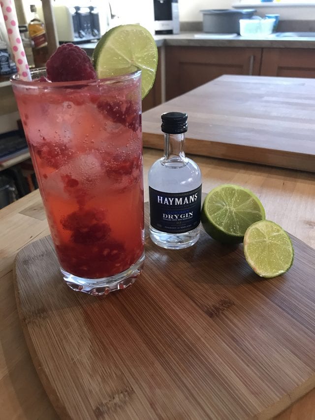 Stunning Summer Cocktails with Hayman's Gin