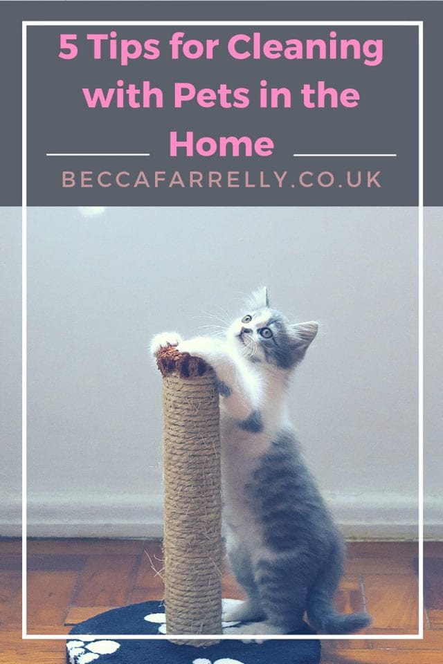 5 Tips for Cleaning with Pets in the Home