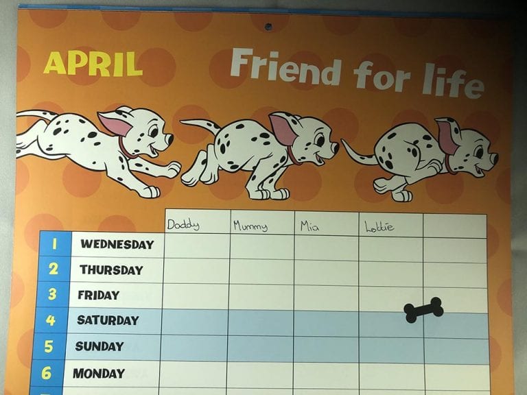 Get Your Family Organised for the New Year with Danilo Calendars