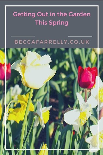 Getting Out in the Garden This Spring